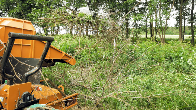 Brush Clearing, Greensboro, NC | S&E Custom Grading & Concrete